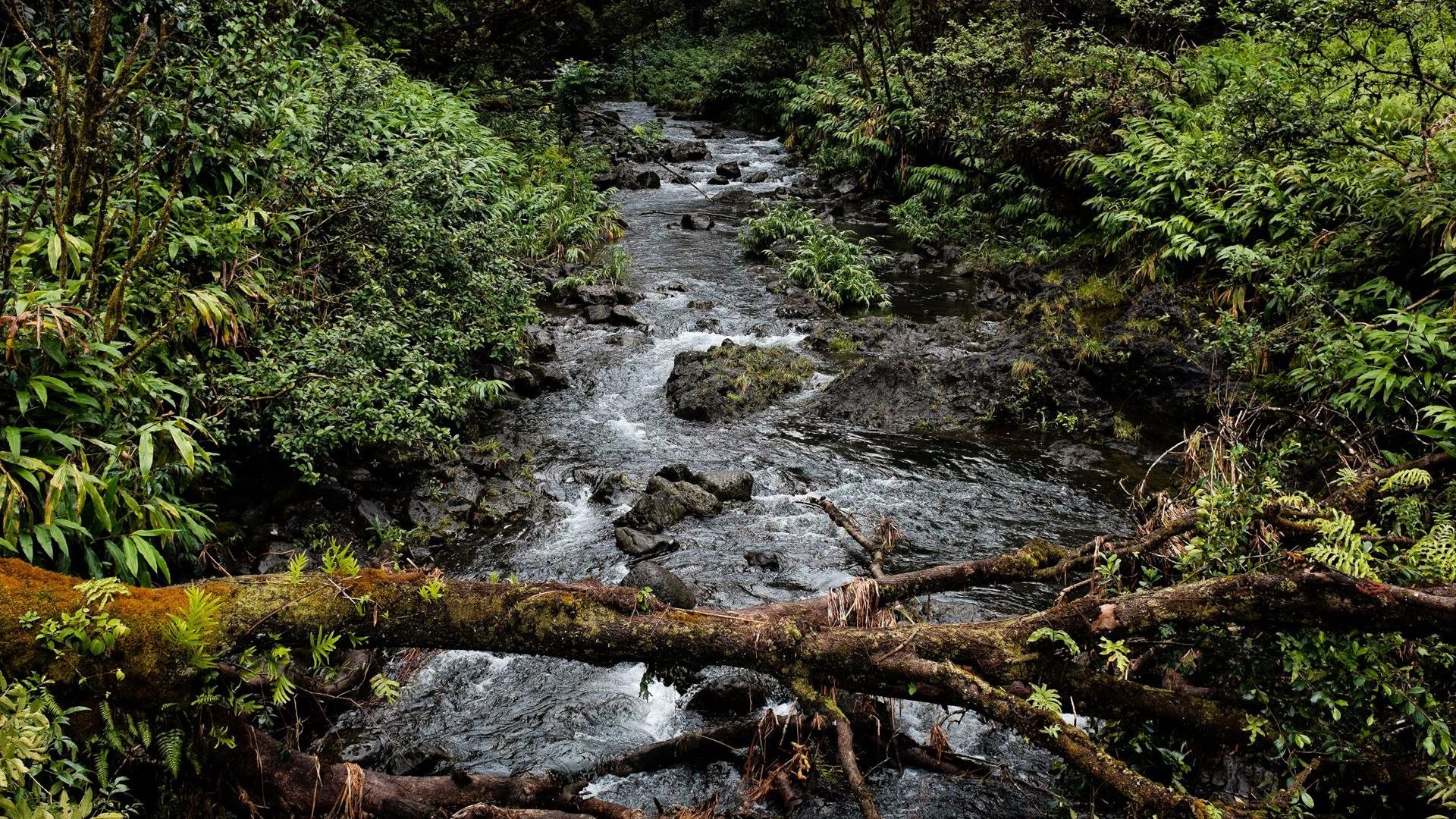 Sustainable drainage systems (SuDS) to become mandatory in 2024 : Clyde ...