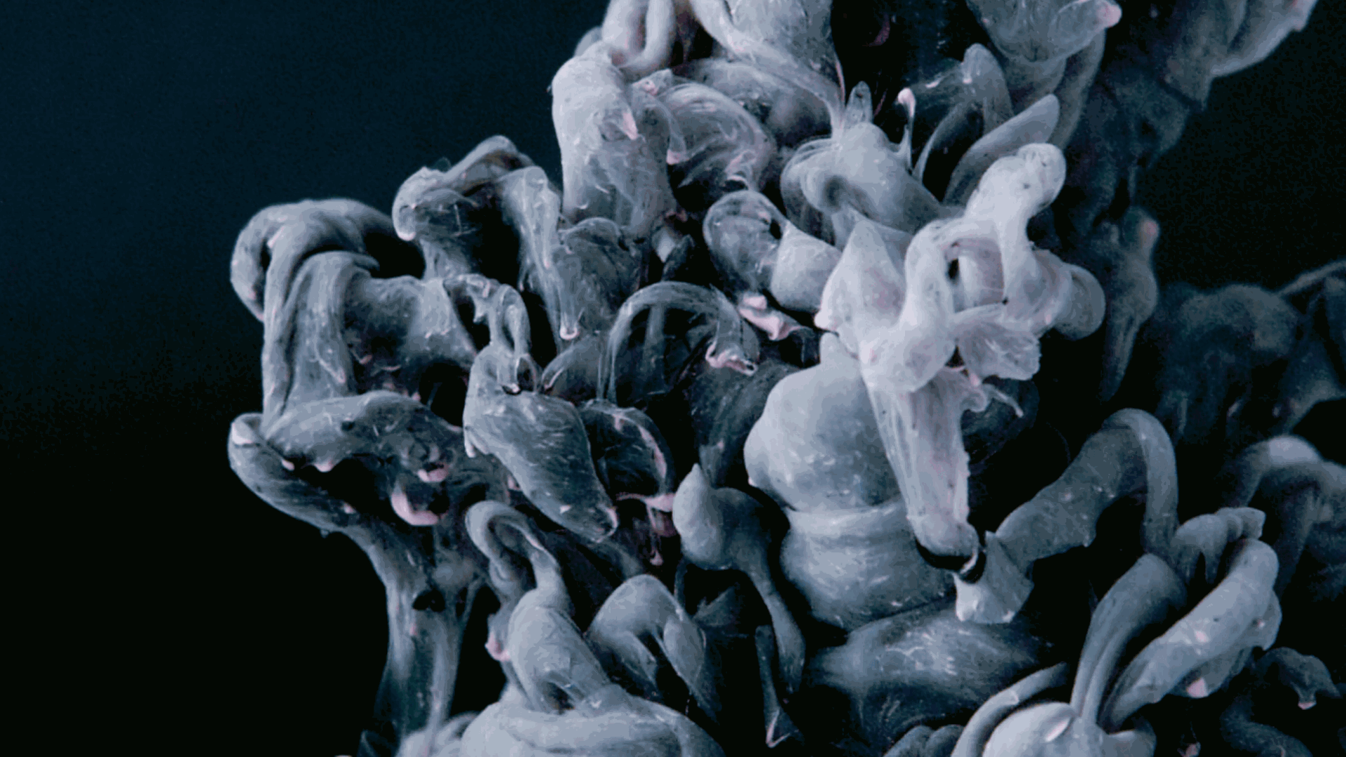 In a world of pain: how chronic pain claims remain challenging for ...