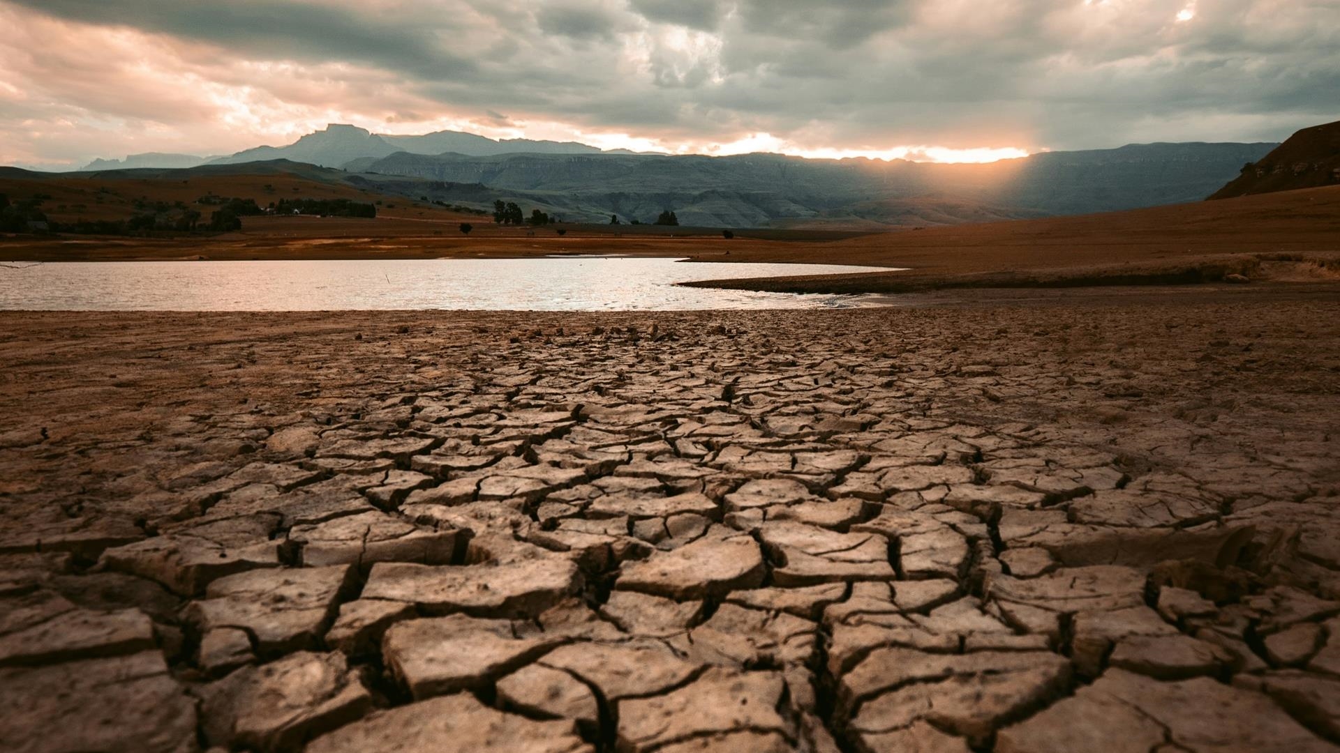 Water Scarcity : Clyde & Co