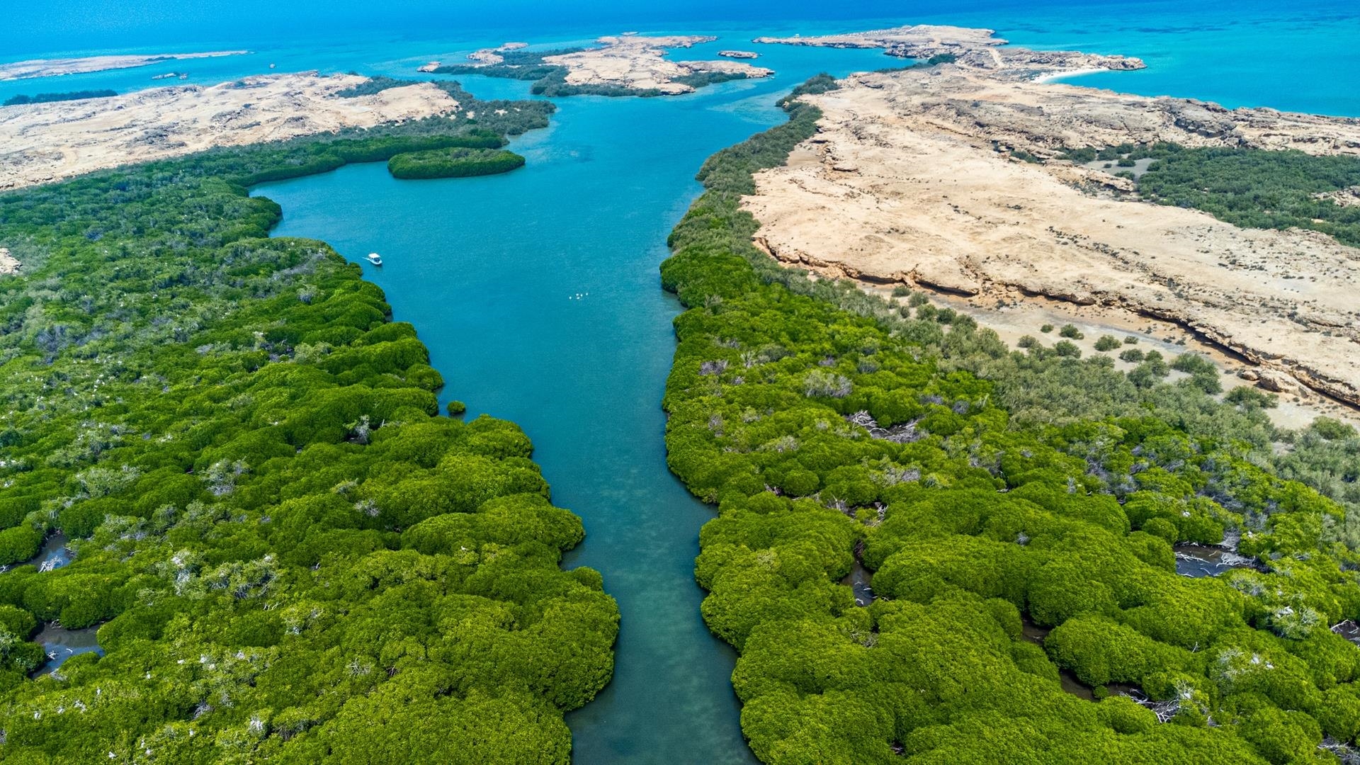 An overview of Saudi Arabia’s New Requirements and Conditions for Red ...