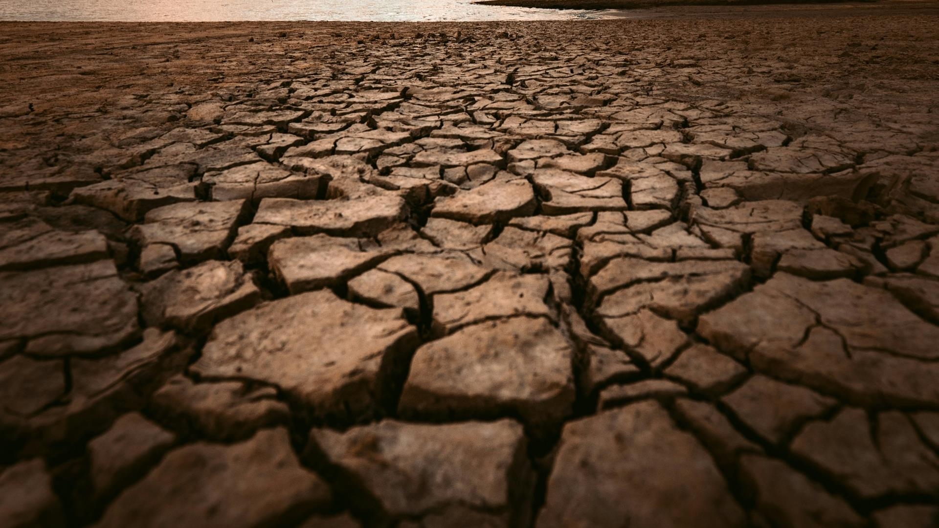 Beyond the drought: Water scarcity and global risk : Clyde & Co