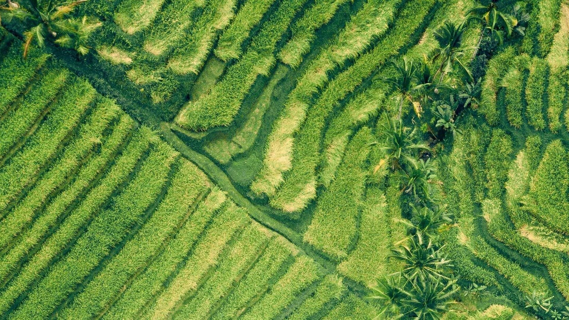 CleanTech 2.0 Summit Report : Clyde & Co